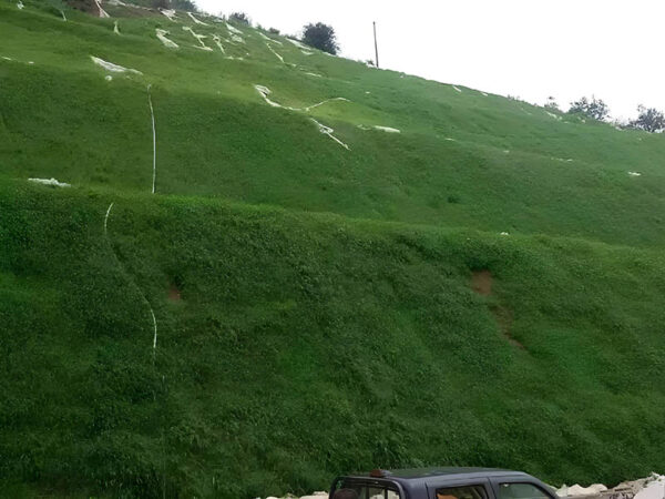 Uniaxial Geogrid Used In Slope Protection And Greening Project Case • QIVOC